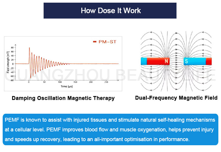 Pmst loop pemf therapy device machine EMS23 PRO - Buy Pmst loop pemf ...