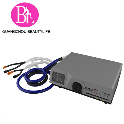 Pmst loop pemf therapy device machine EMS23 PRO - Buy Pmst loop pemf ...